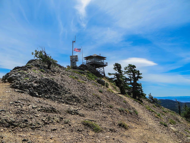 Adventures with Jake: Red Top Lookout east of Snoqualmie Pass