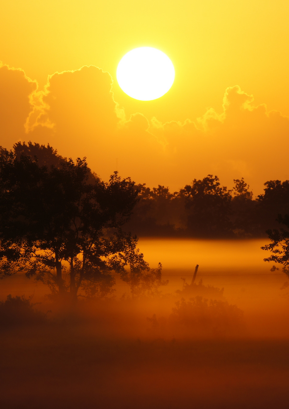 Sweltering Heat | Phillip's Natural World