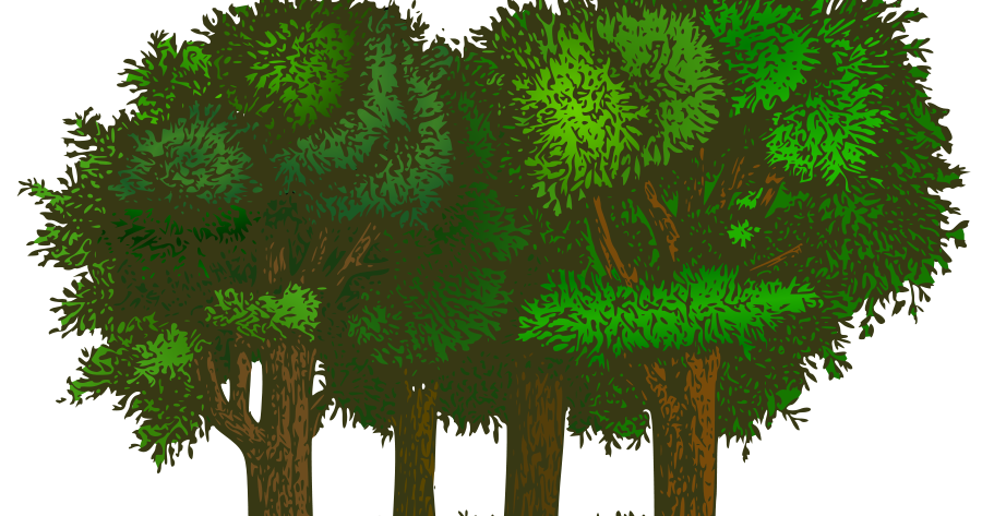 edupage cc: 10 VRAE OOR Gebed tot die bome deur Vincent Oliphant