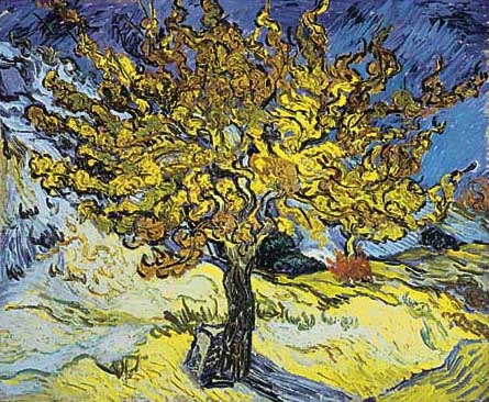 Copacul dorinţelor | O poveste Zen - diane.ro