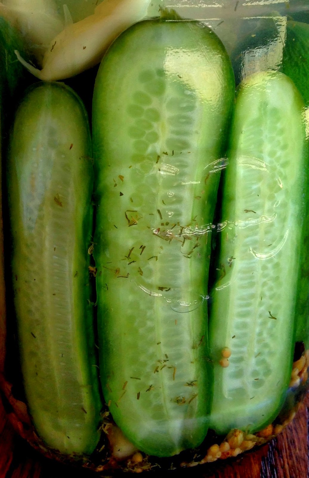 Homemade Pickles, Rick Moranis, and a Season Called Sprinter ...