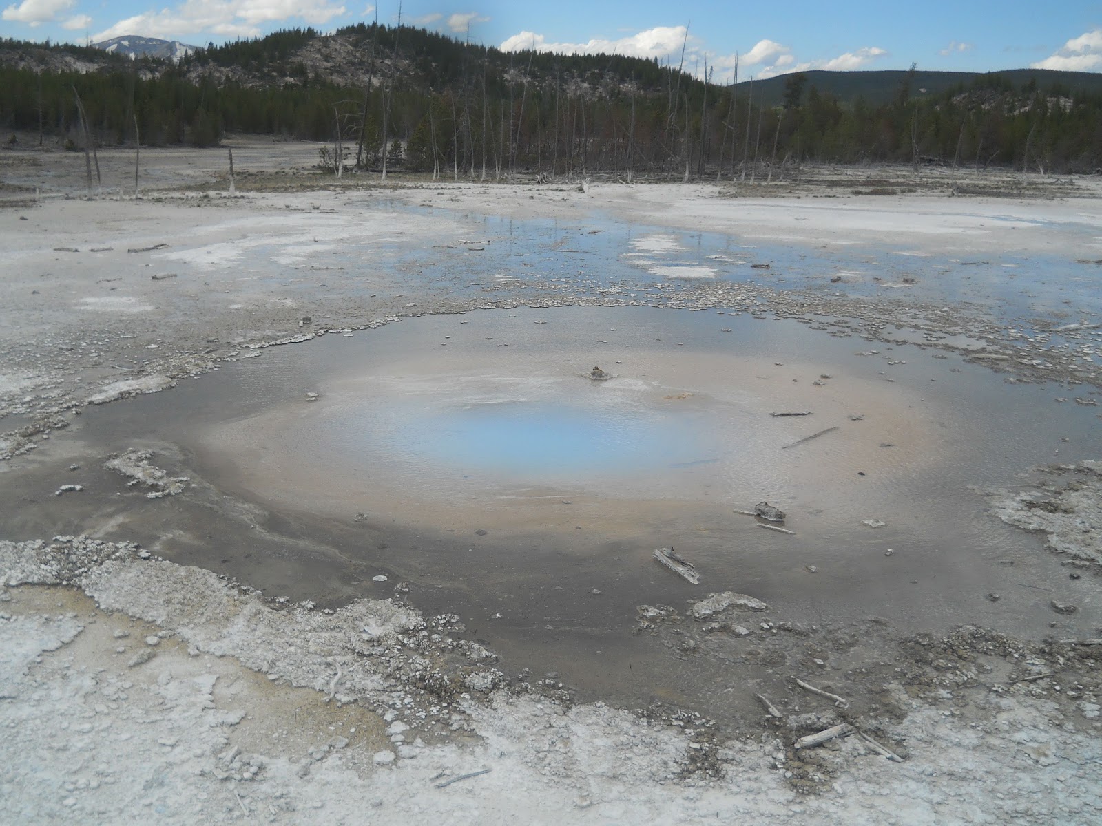 Piccola's Projects: WY (Yellowstone Nat'l Park - Part 3)