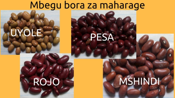 Mogriculture Tz: Kilimo Bora Cha Maharage