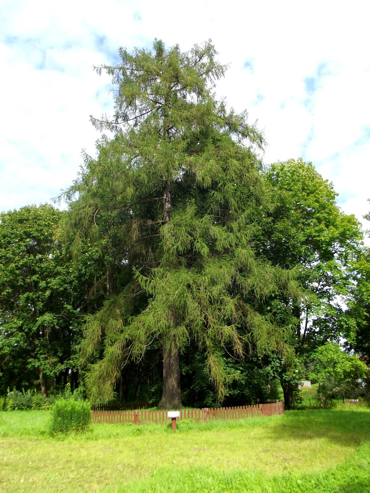 Latvijas muižas un pilis un citas interesantas vietas: Biržu muiža ...