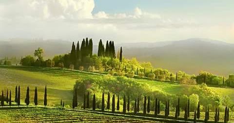 Sunshine: The Night Dances/ Sylvia Plath