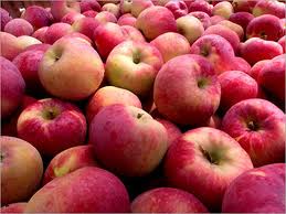 Fingerplays & Action Rhymes: Pick some Apples