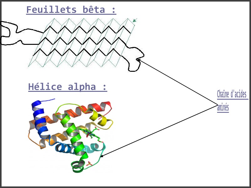 Peut-on cuire sans chaleur?: Première partie
