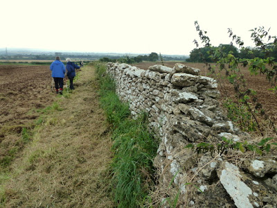 Devizes Days in Words and Pictures 2015: Another Long Walk, Another Pub!