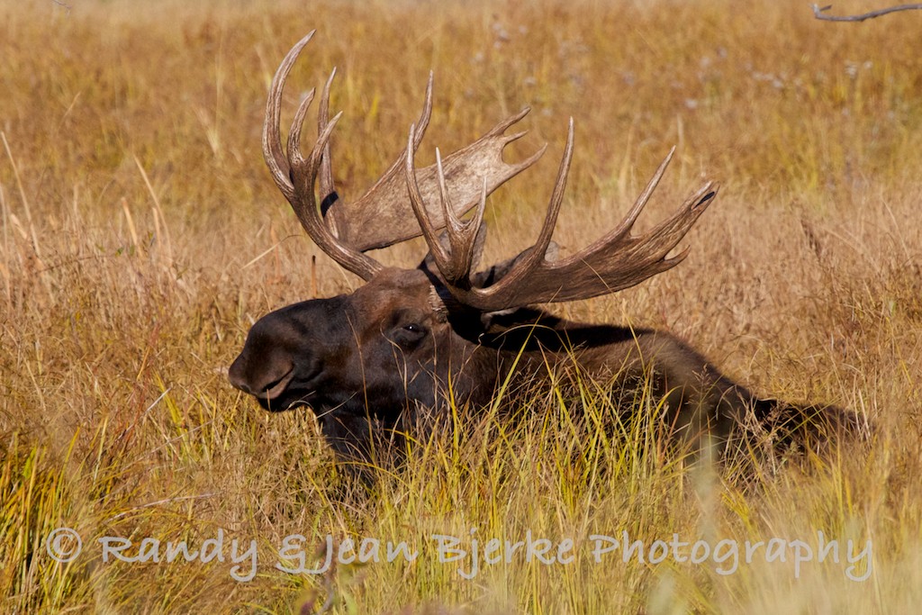 Jean Bjerke's Photo Blog: October 2012