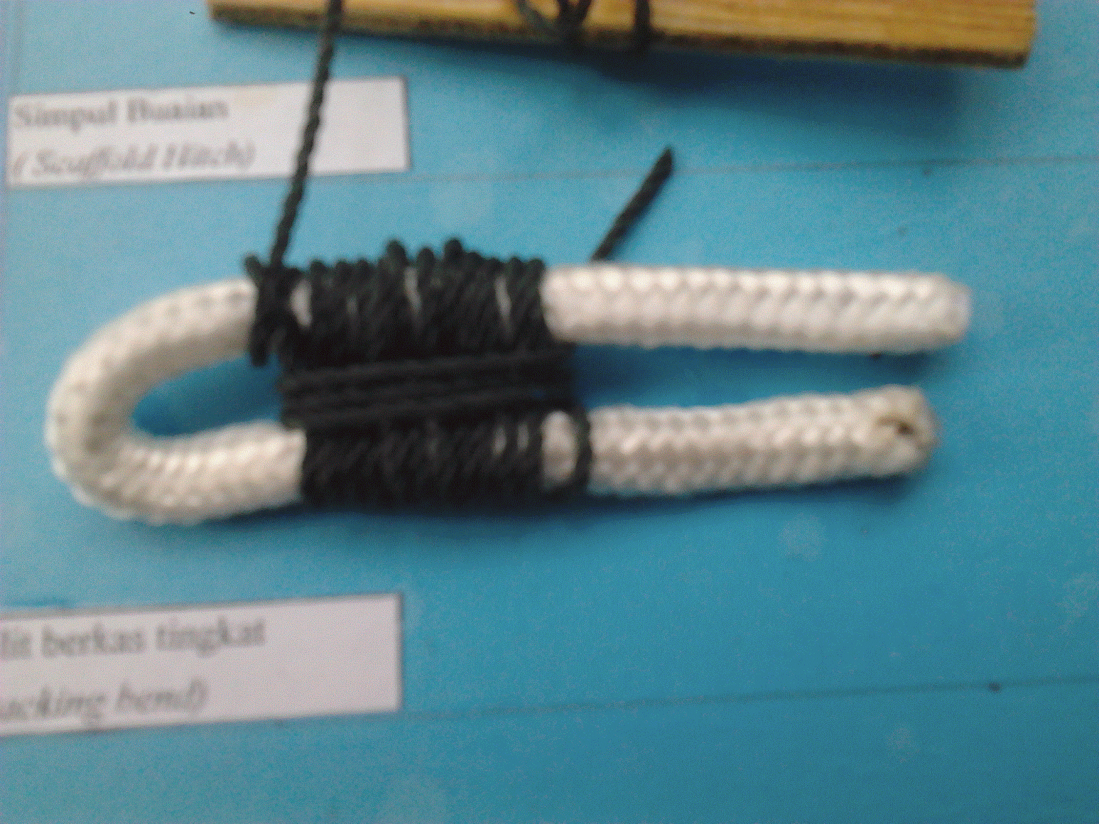 maswafi.blogspot.com: Lencana Kemahiran (Ikatan dan Simpulan)