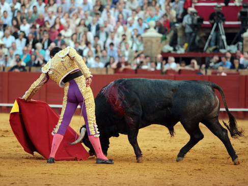 El rincon del toro bravo: Cronica Sevilla 28-04-2011. Toros de ...