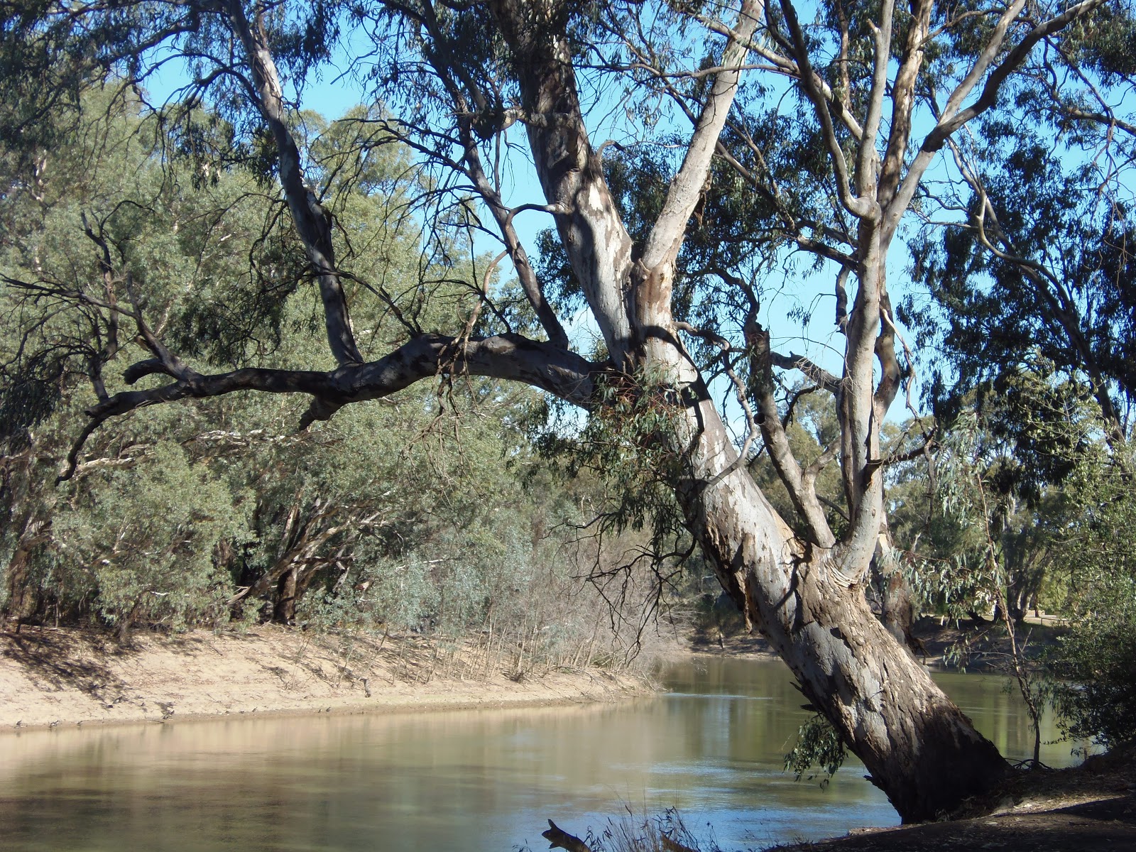 Solo Steve On The Road: NYAH RECREATIONAL RESERVE Vic