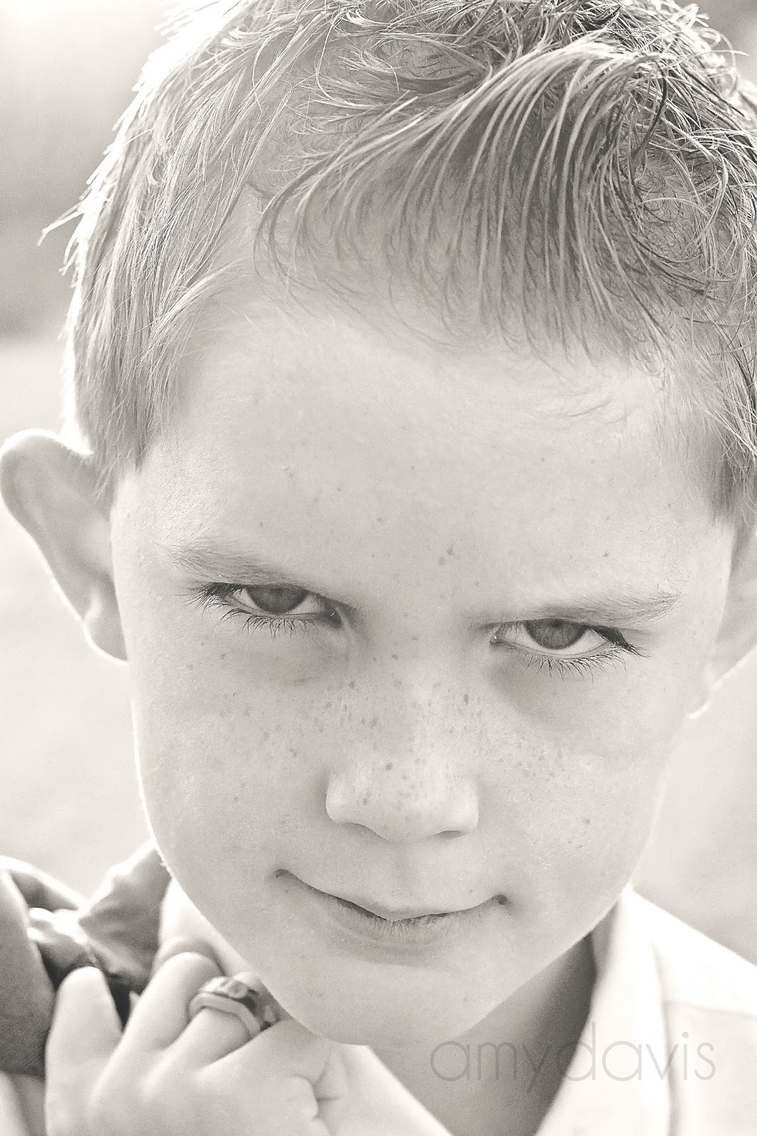 Amy Davis Photography