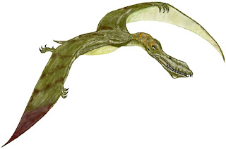 Los animales en la prehistoria: Animales prehistóricos con la letra A