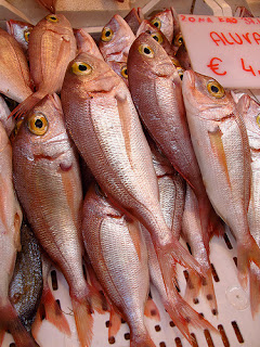 Behind the French Menu: Pageot or Pagre, the fish. Sea Bream, Pandora ...