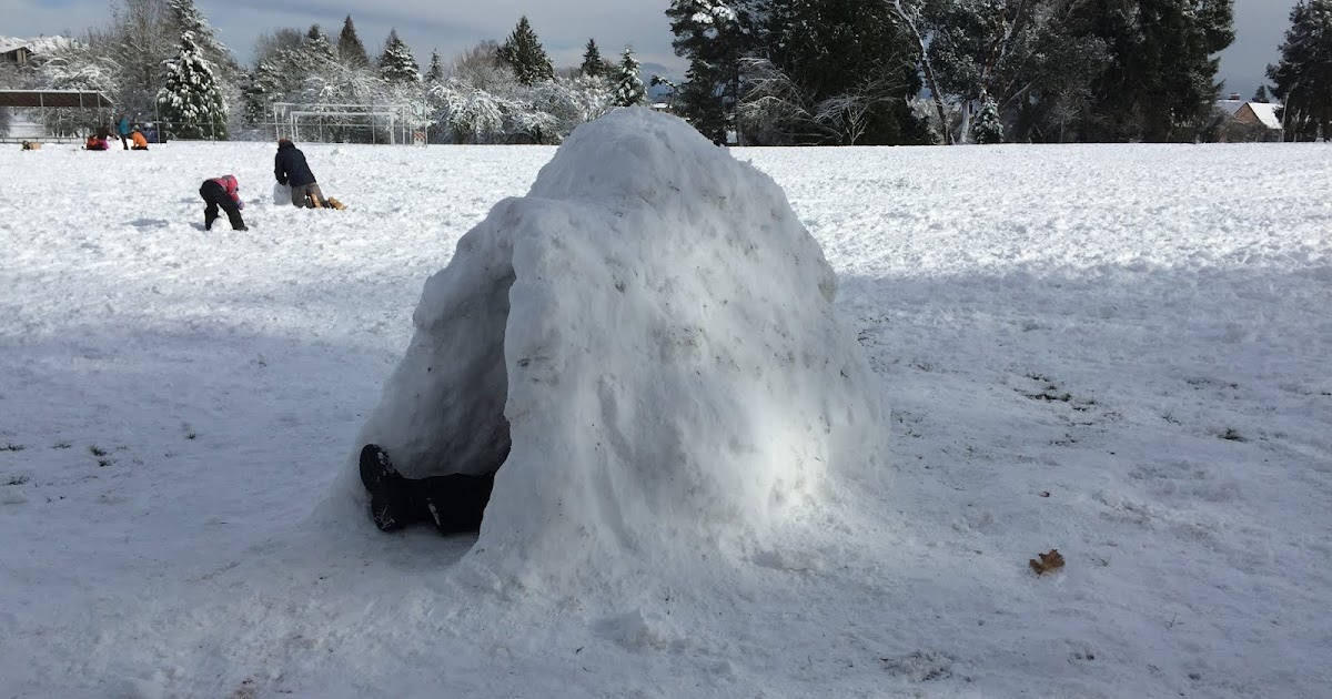 Laurelhurst Blog: Igloo In The Park And Downed Branches