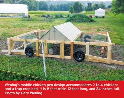 Missouri Beginning Farming: Controlling Squash Bugs with Trap Crops and ...