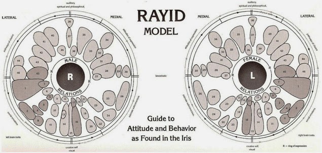 ESPAÇO TERAPÊUTICO AMOR, SAÚDE E VIDA: CIÊNCIA DA IRIDOLOGIA
