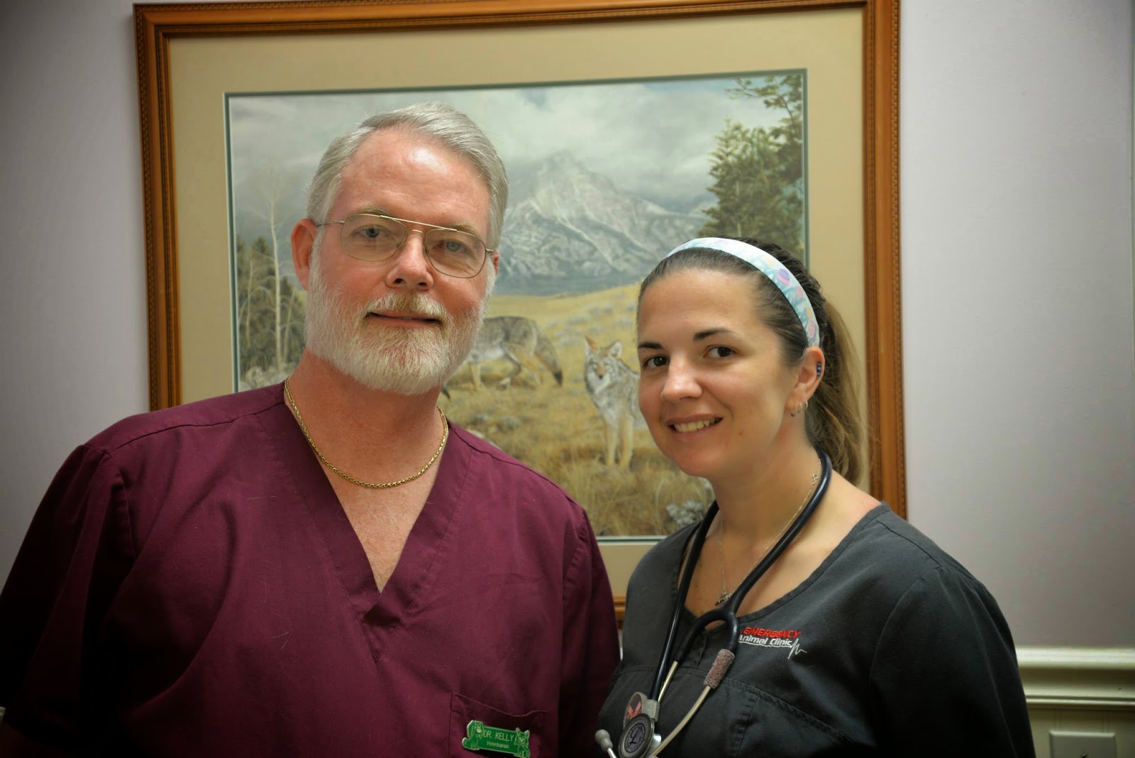 Kelly's Animal Hospital: 2014