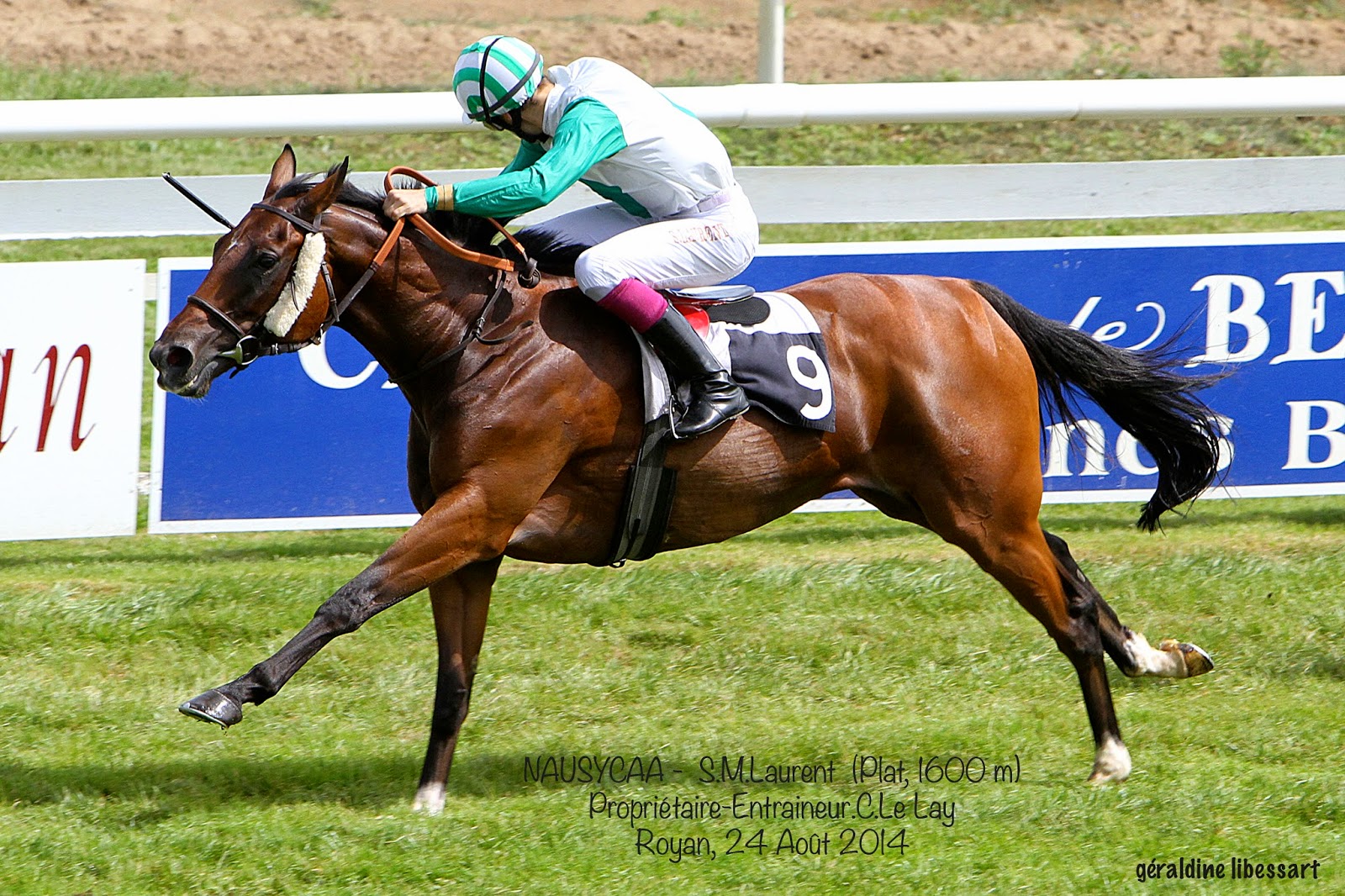 Hippodrome Royan-Atlantique: JOËL BOINARD ET ALEXANDRE ROUSSEL SE ...