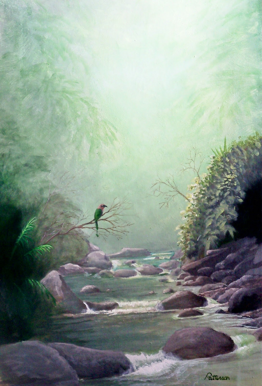 Jungle and Rainforest Art of Costa Rica: Volcano Arenal Birding Spot ...