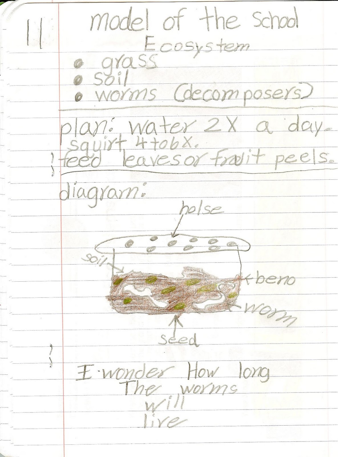 Science Gal: Building Models in your classroom....