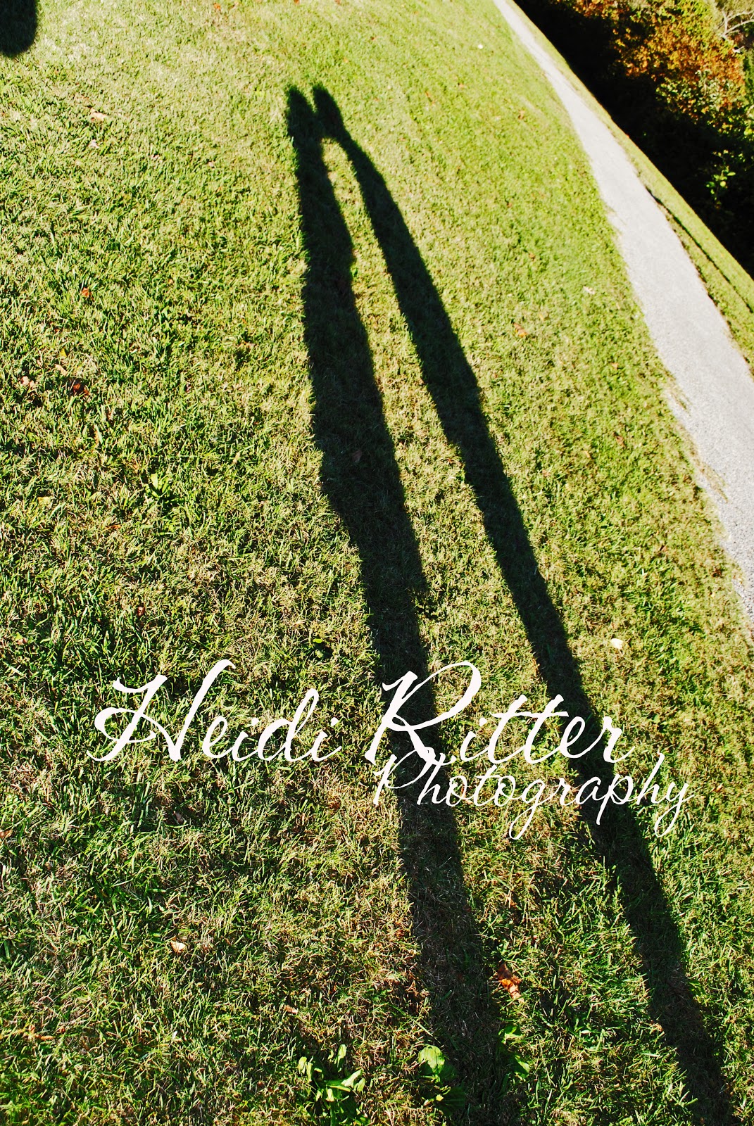 Heidi Ritter Photography