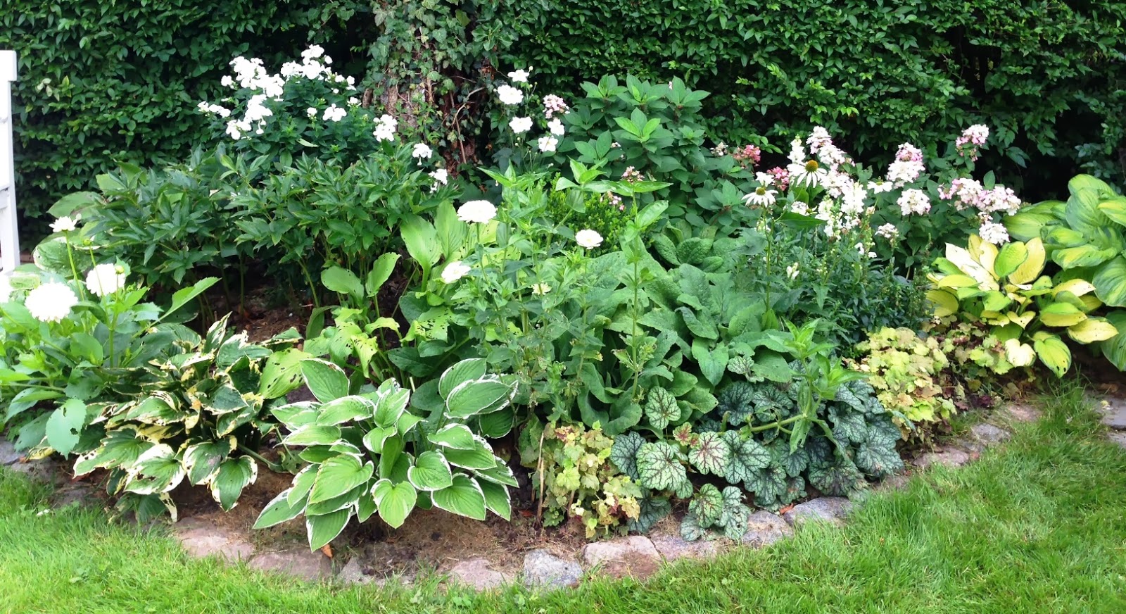 Trädgårdstid: Rabatterat