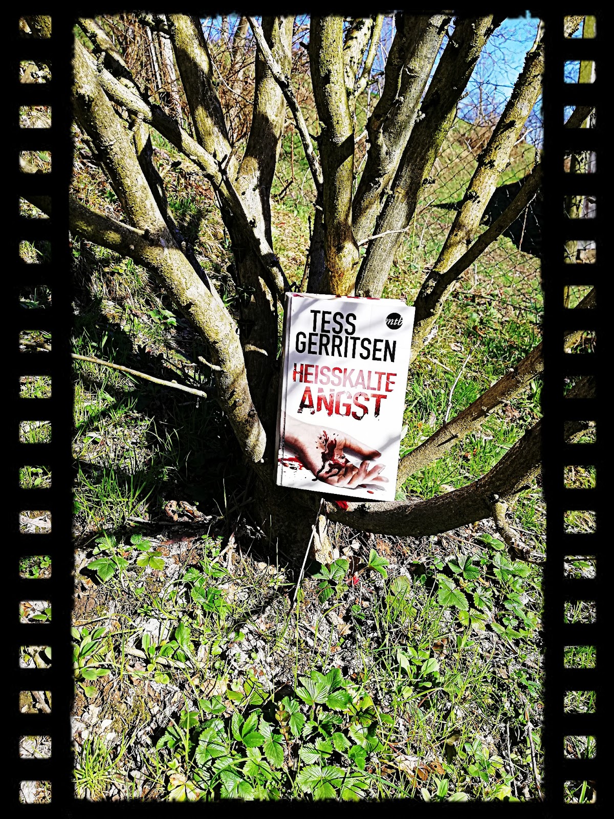 4 Tess Gerritsen Kitabı - Deli Kız Öneriyor