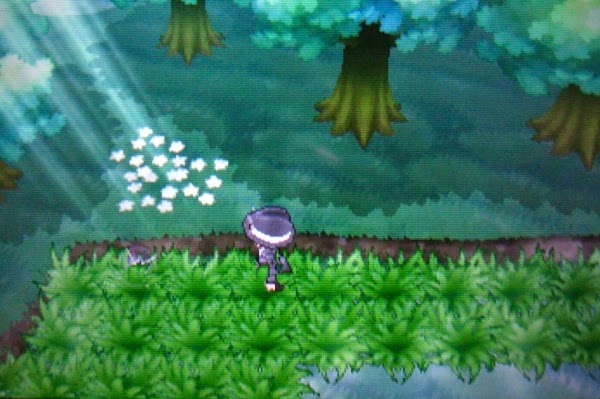 Pokemon Diary: Chapter 5 All the Mega stone post-game locations