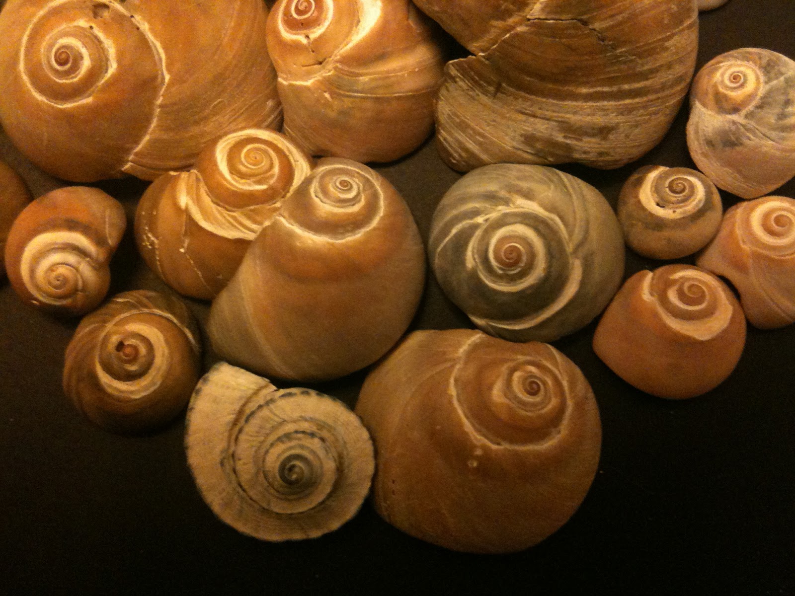 The Helpful Art Teacher: Rhythmic Line Designs And Patterns