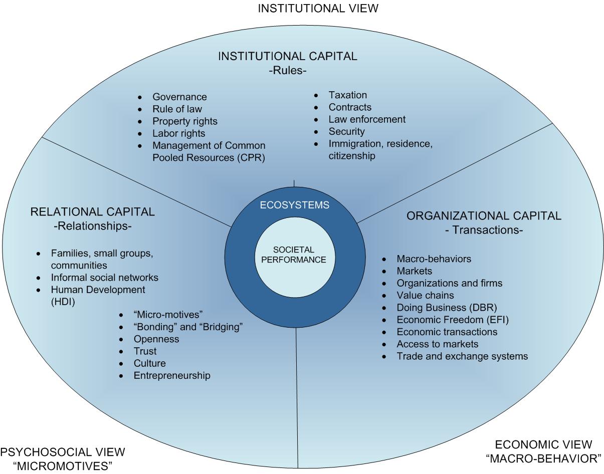 Societal and Organizational Performance