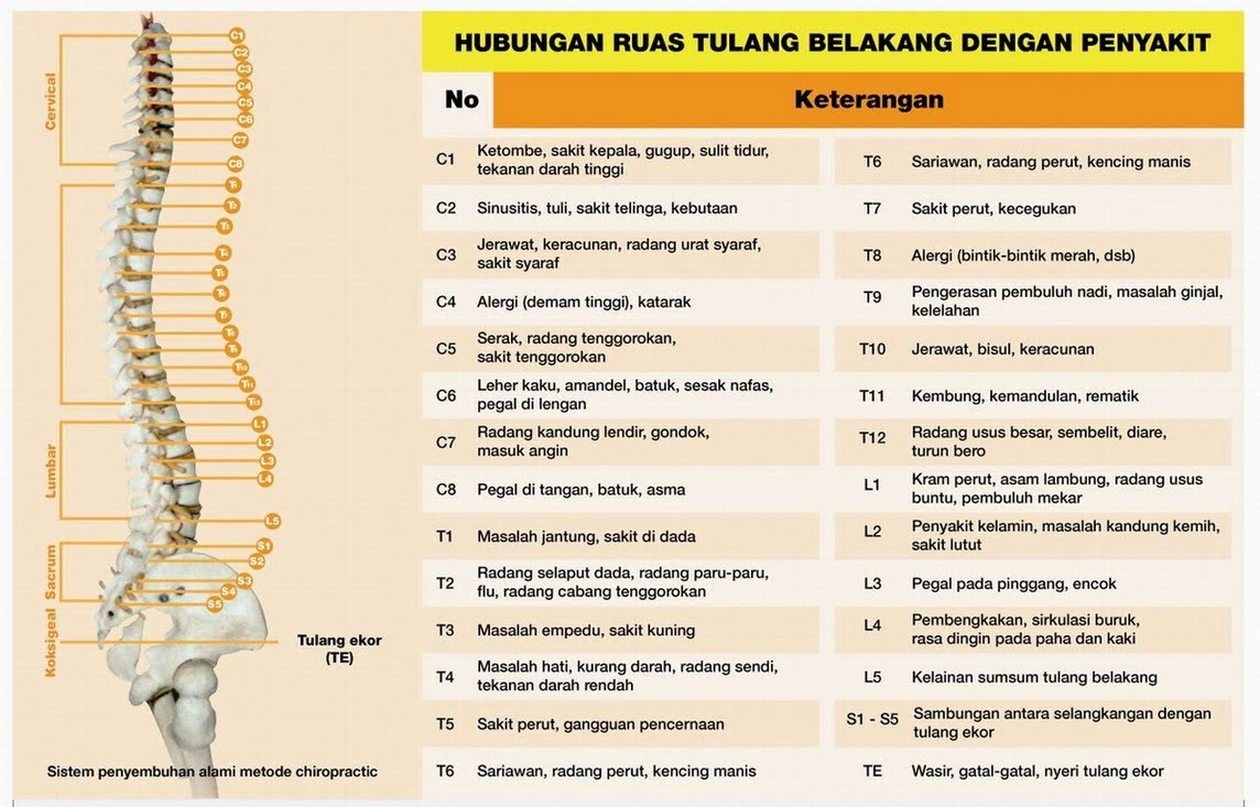 TERAPI 081380783912 MATRAS SAUNA BED MAGNETIC HEATER FISIOTERAPI ...