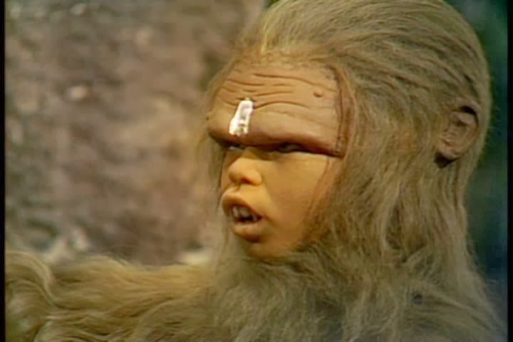 Tricia's Tidbits: SATURDAY MORNING SHOWS FROM THE 70's