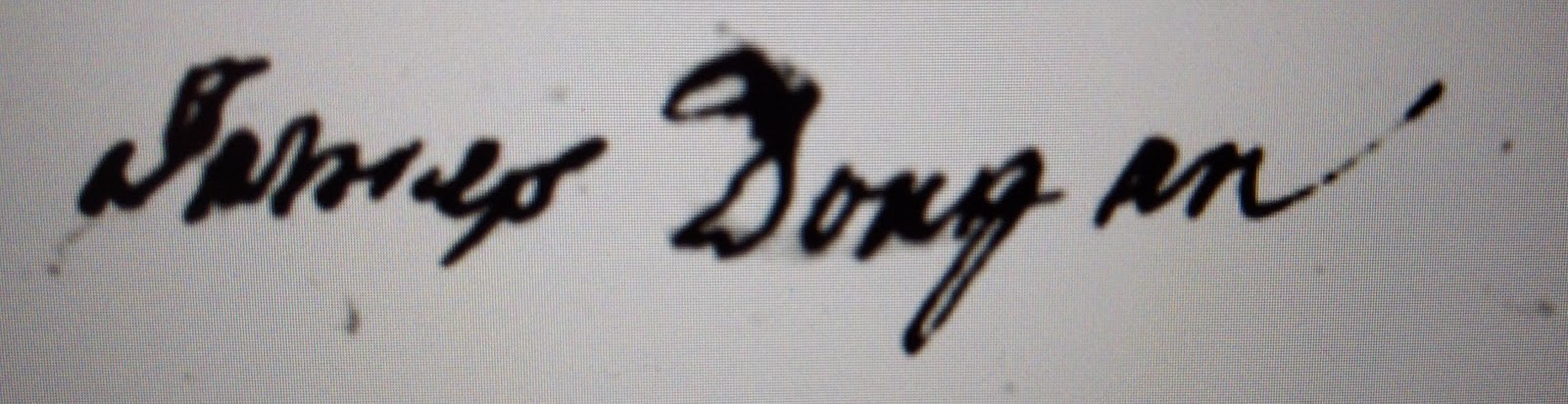 Leaves on the Raney Tree: Fierce Patriot of the American Revolutionary ...