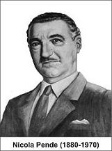 UAZ, DERECHO PENAL: ENDOCRINOLOGÍA CRIMINAL