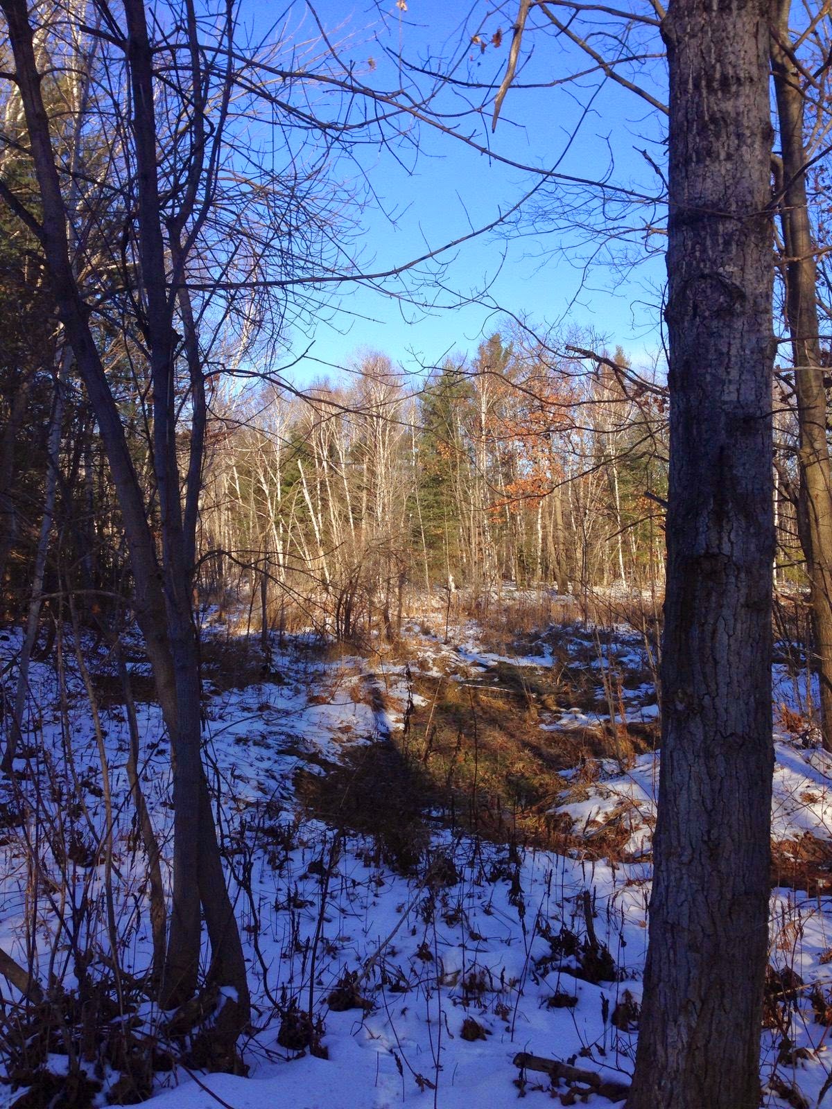 Ted Currie; Antique Head: Historic Sleigh Rides In Muskoka; In Quest Of ...