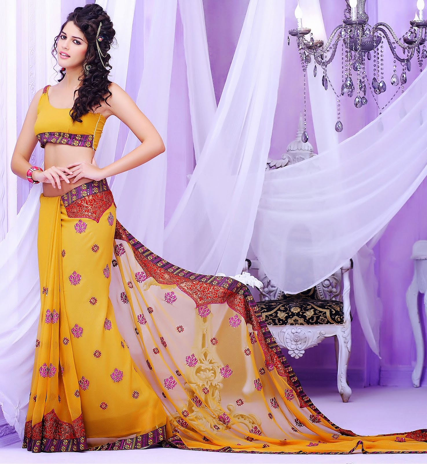 Ritzz Collection : An Indian Lady Simple Look Gorgeous Saree
