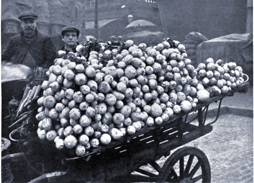 Roads to the Great War: 100 Years Ago: The Coming of the "Turnip Winter"