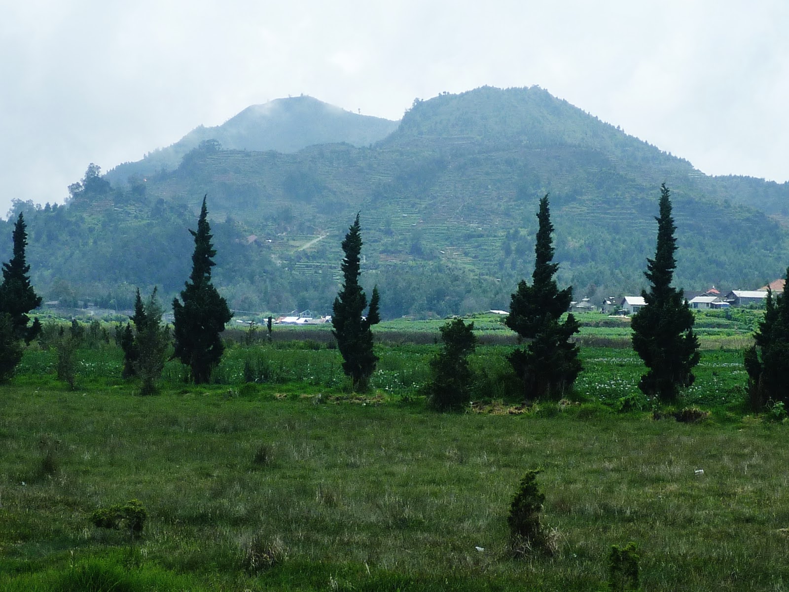 Dieng: Negeri di Atas Awan