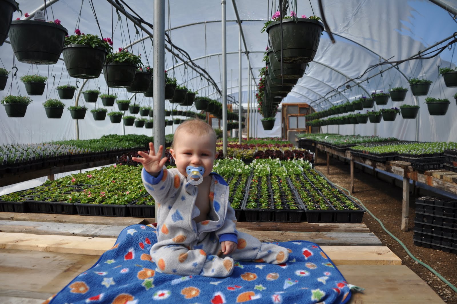 Halburs Northland Nursery and Landscaping