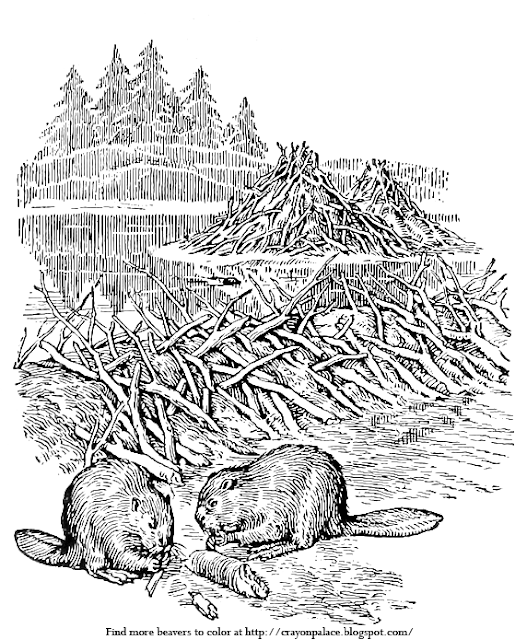 Crayon Palace: Color these beavers building their home