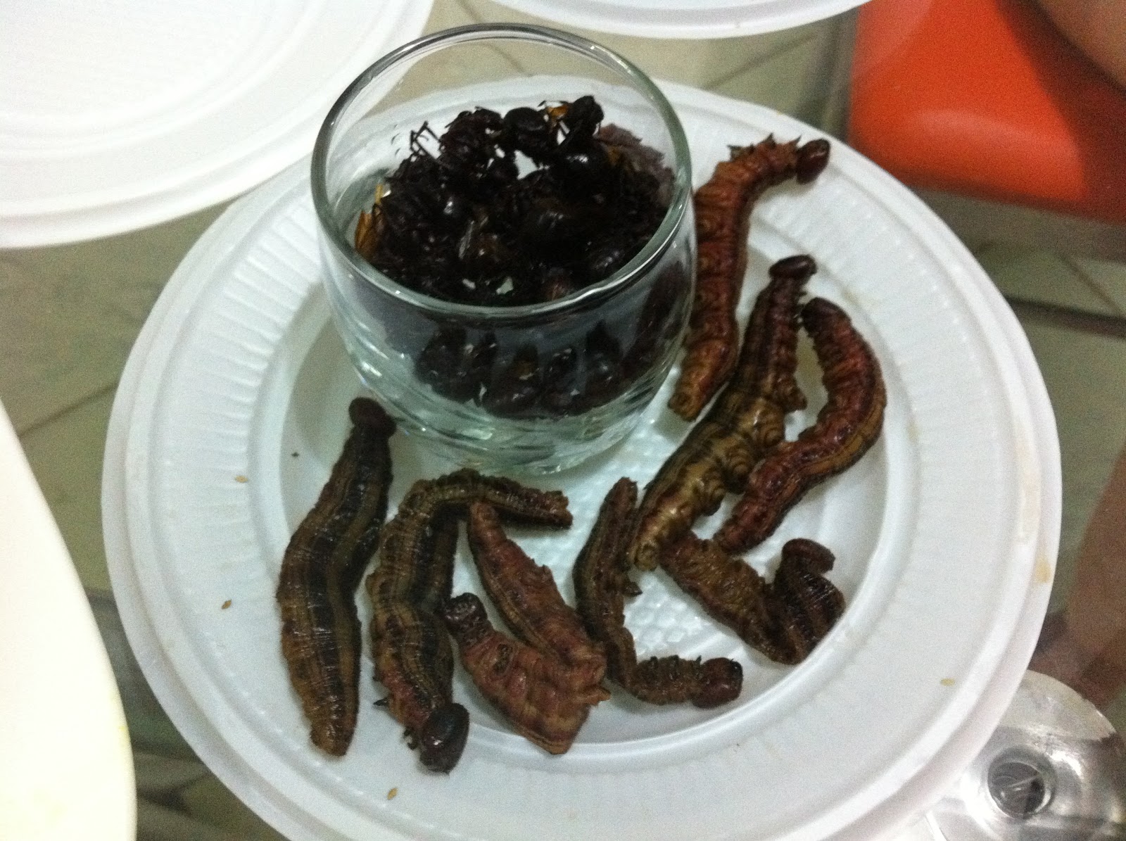 The Pomegranate Way: Fried Ants and Caterpillars, Yum!