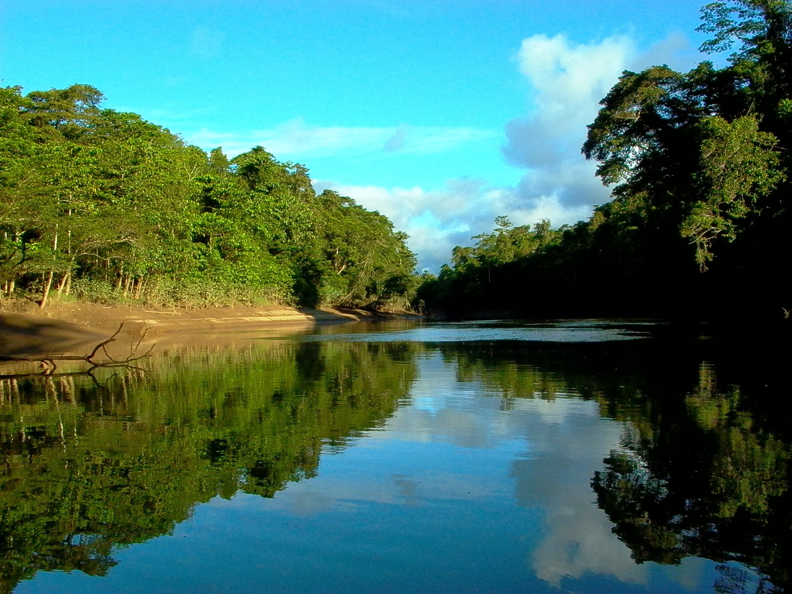 birding never sleeps: PAPUA NEW GUINEA June 2004 (Part 3: Elevala and ...
