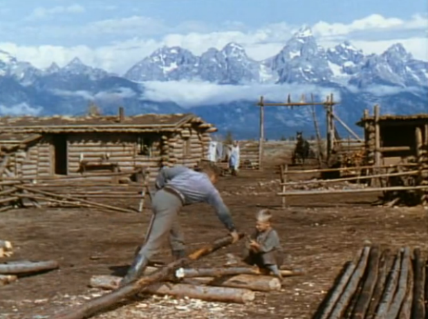 Classic Film Observations & Obsessions: The Unexpected Beauty in SHANE ...