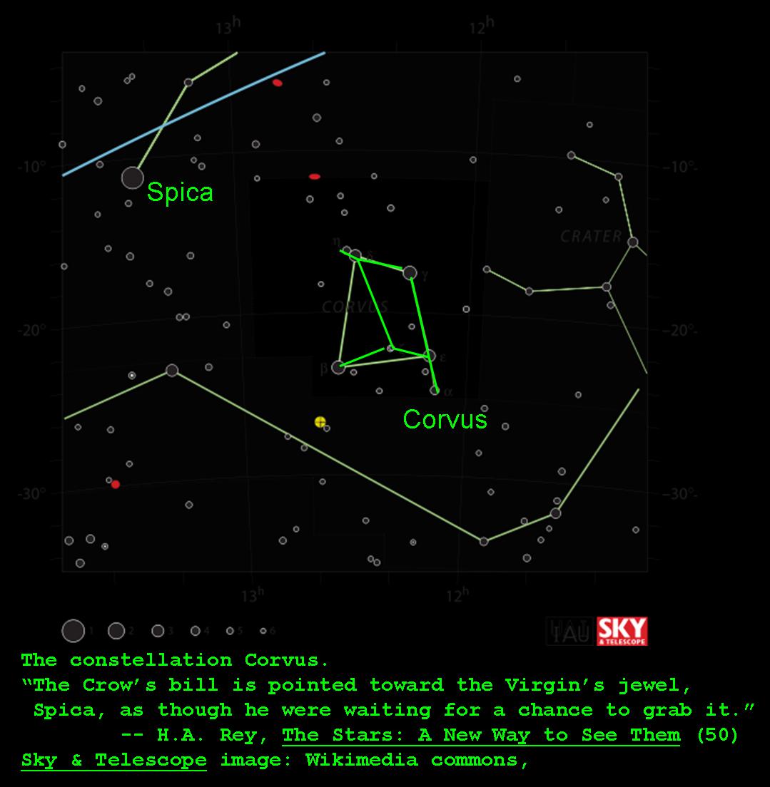The Mathisen Corollary: The constellation Corvus
