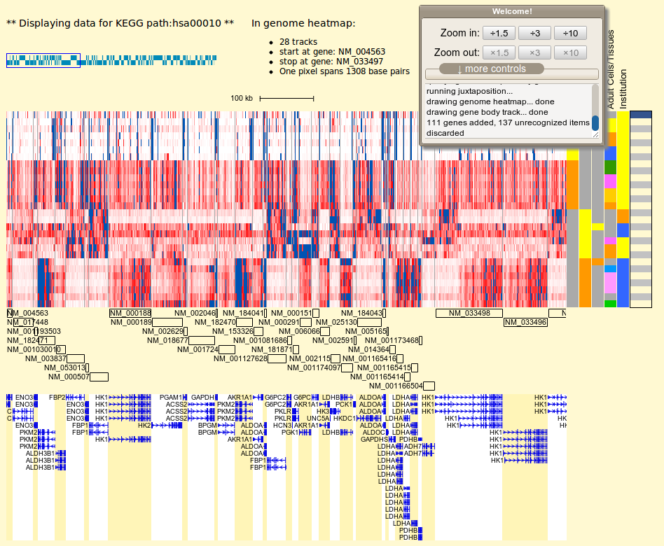 WashU EpiGenome Browser: Gene Plot