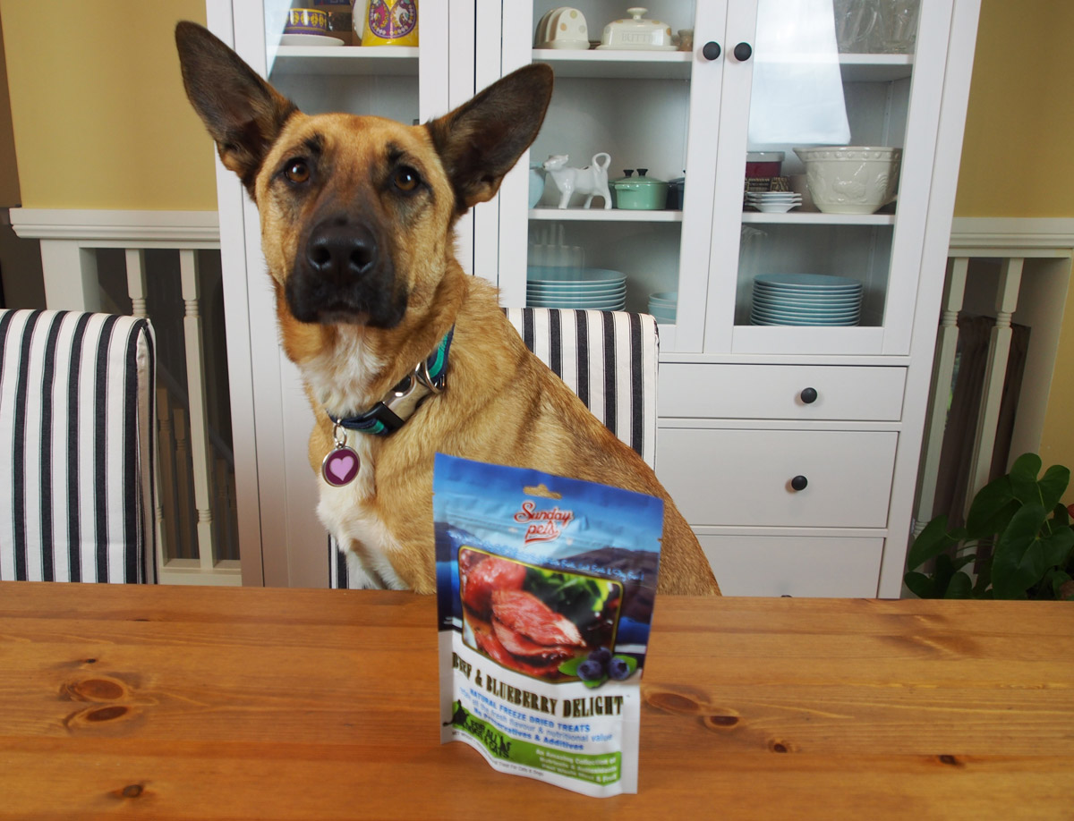 Sunday Pets - NZ Beef & Blueberry Treats | Australian Dog Lover