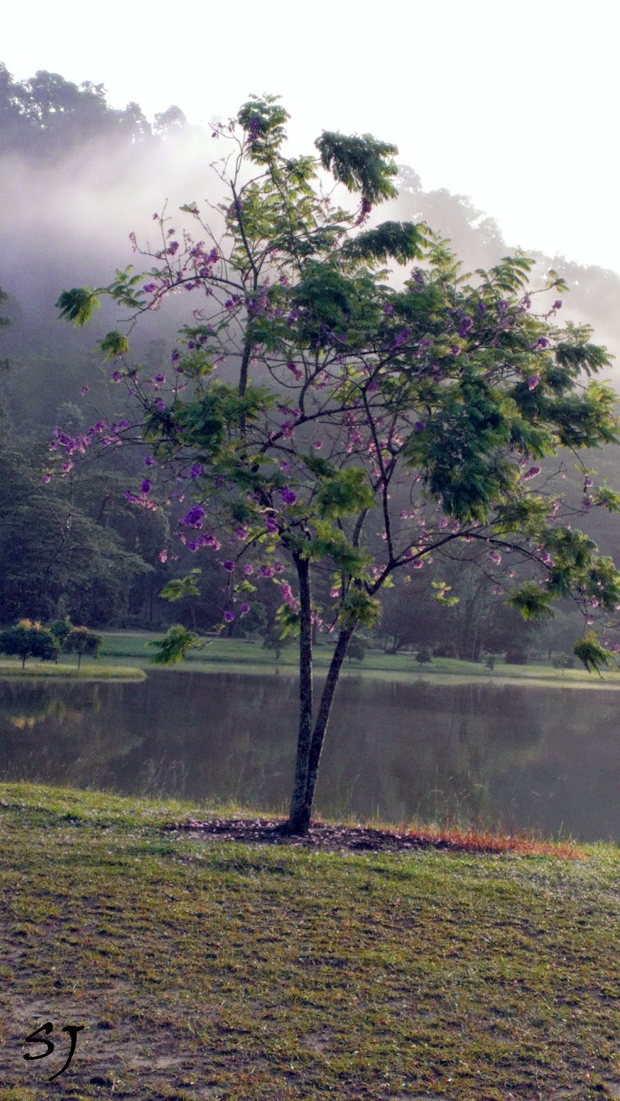 My Palace, My symphony of life and the rhythm in My heart: April 2014