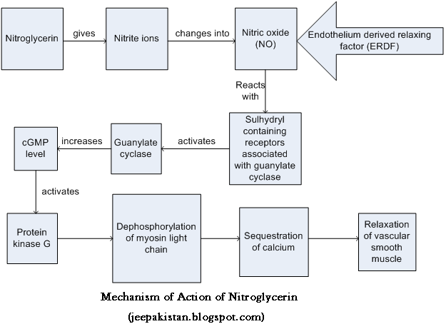 Your Source of Information: Nitroglycerin